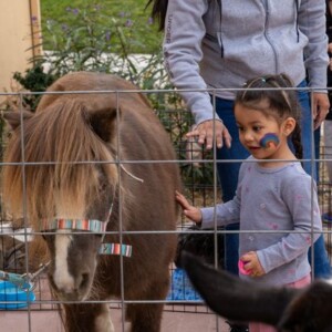 Home - Collaboration Center Foundation