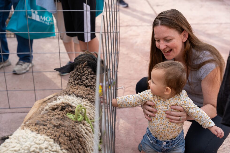 Home | Collaboration Center Foundation